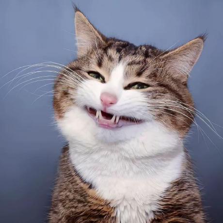 Github Lvstrnggg Argon