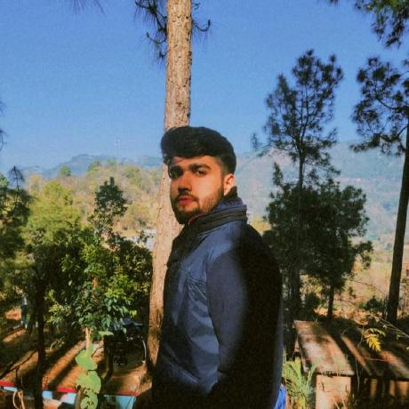 Programmerkb17 Kartik Bhardwaj Github