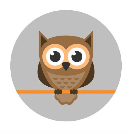 Ase 23 The Bald Owls Github