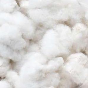 Cotto N Cotton Github