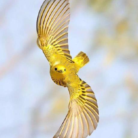 Doomagedon Victor Churilov Github