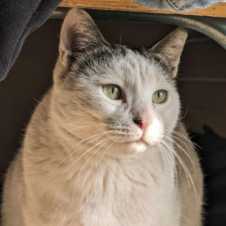 Han 15 Han 15 Github