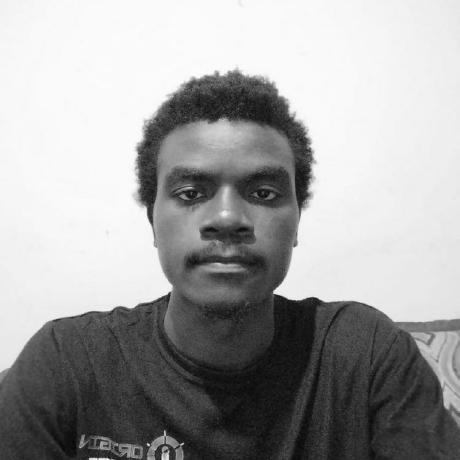 Waltertaya Walter Github