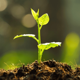 Natasha R Natasha Github