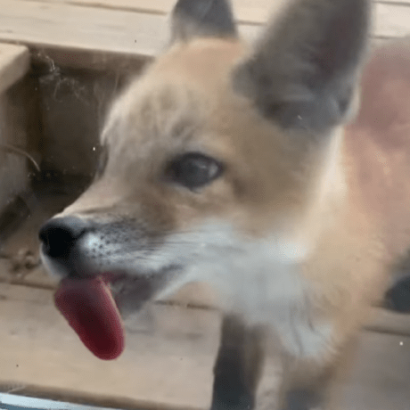 Eng Edu Lgh Eng Edu Lgh Github