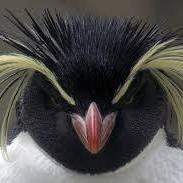 Lennon Coder Github - Premium Geometric Image Gallery - 8K