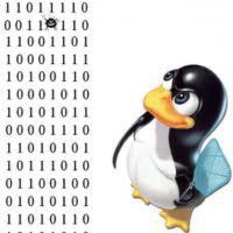 Github Bugy Script Server Web Ui For Your Scripts With Execution