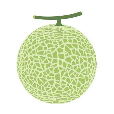 Sfu Melon Github