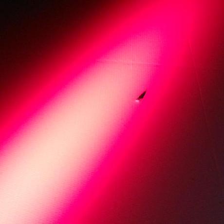 Chrisraynersg Christopher Rayner Github - Vintage Pattern Collection - Full HD Quality