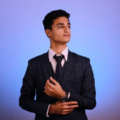 Moheyelden25 Mohey Amer Github