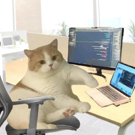 Yu Xin Qiu Qyx Github