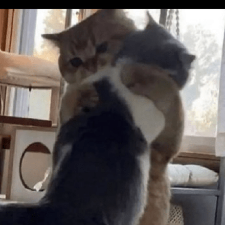 Chiebkai Nguyen Huu Chien Github