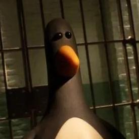 1mrdavid Mrdavid Github