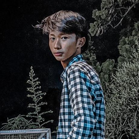 Juniordeveloper17 Ryan Github