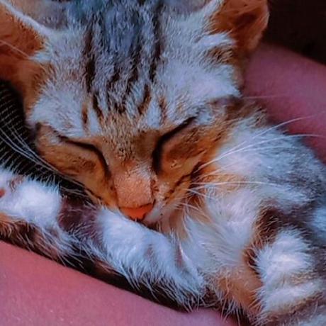 Xon672 Maxon Emmanuel Github