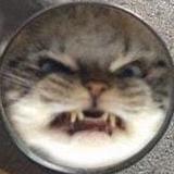 Lyf Vs 李易峰 Github