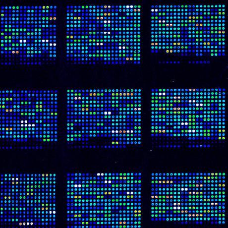 Malaria Research Program Bioinformatics Github