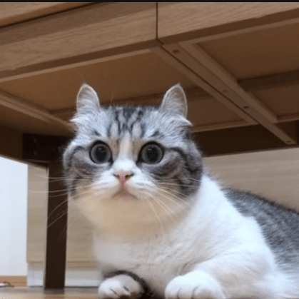 N3k0chka Neko Github