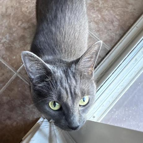 Anna0range Anna Github