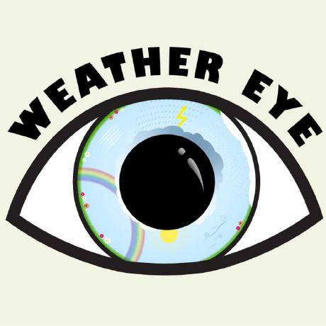 Weathereye Monitoring Station Github