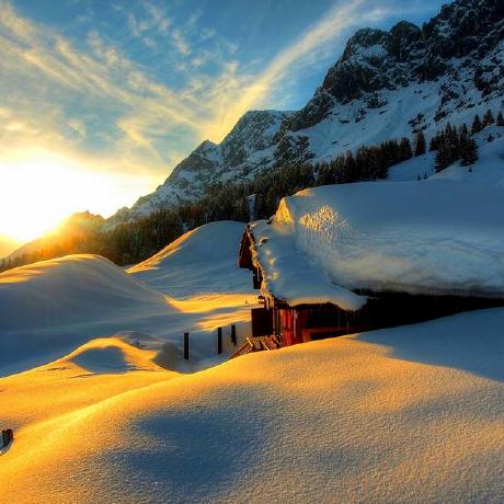 Doriszmr Doris Zmr Github