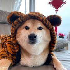 Ft Prince Prince Github