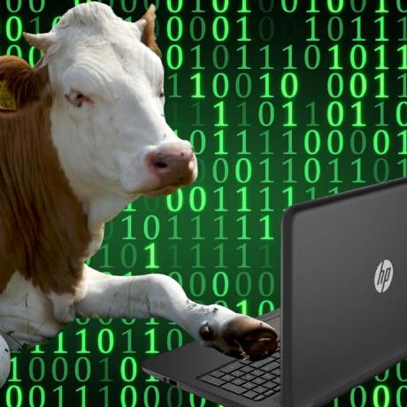 Memory1337 Memory Github