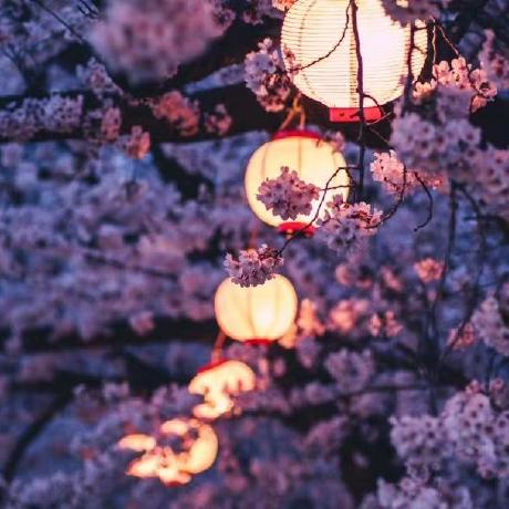 Yang Jiashu Yang Jiashu Github