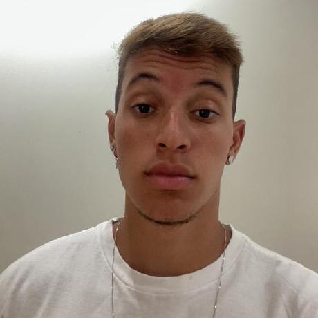 Leozin Del Leonardo Paulin Grillo Github