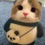 2209520576 Xiaowu Github - Dark Picture Collection - Retina Quality