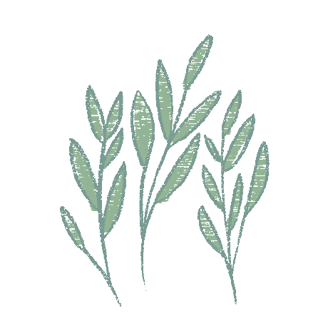 Notjyiiiii Amelia Github