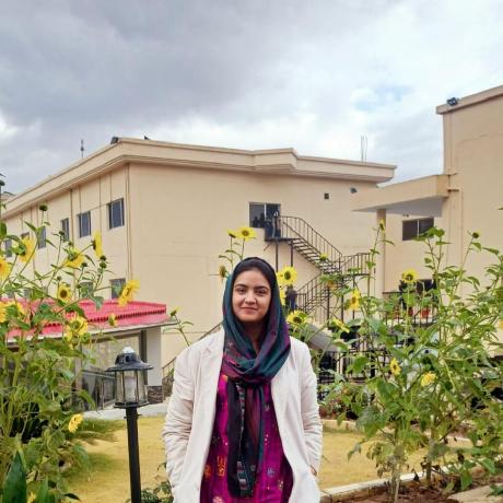 Maryamtanveer1 Maryam Tanveer Github