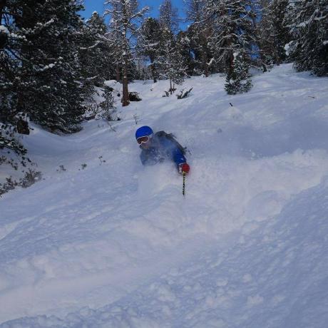 Erichson Ben Erichson Github