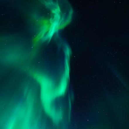 Educational Purposes Examples Github