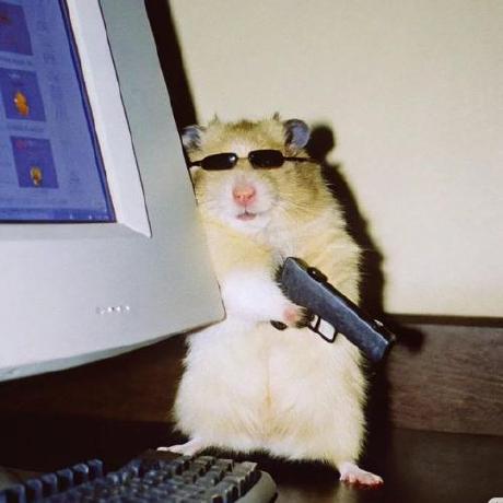 Mahdi Marjani Mahdi Github