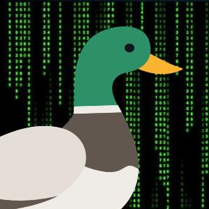 Duck Sec Ducksec рџ в Github