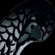 Eiliya Zanganeh Eiliya Zanganeh Github