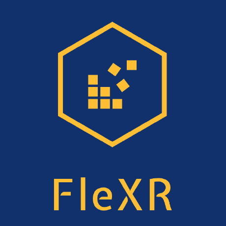 Flexr Github