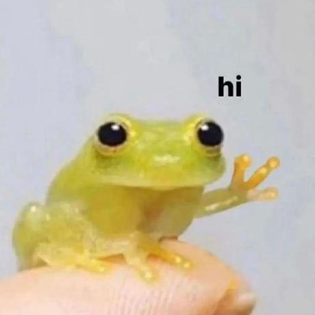 Duckie4u Duckie Github