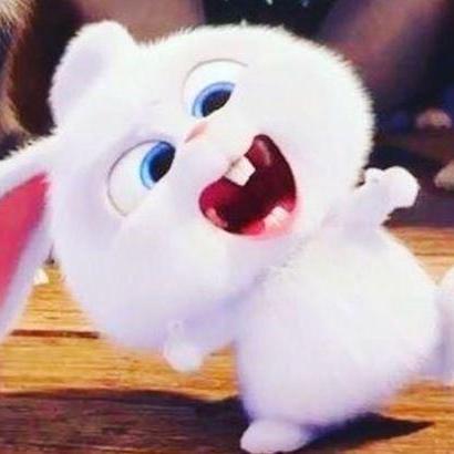 Dayomme 김다영 Github