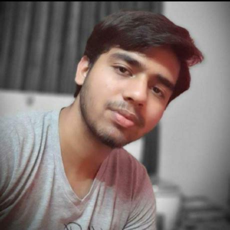 Raj1008 Git Raj Singh Github