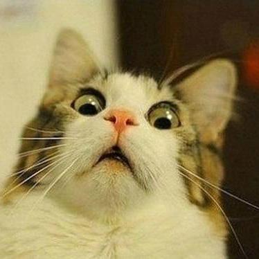 Emma Ong Emma Github - Space Arts - Artistic High Resolution Collection