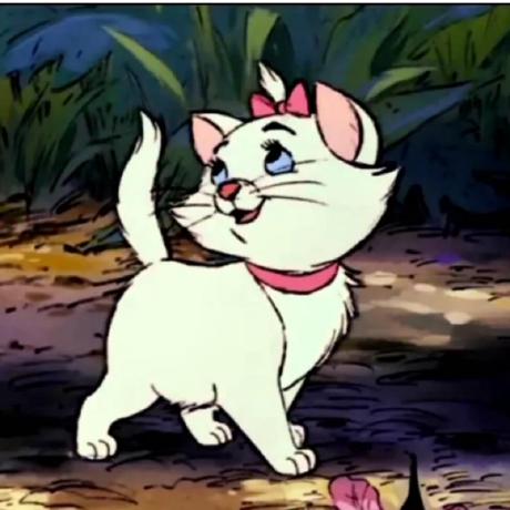 Chloelivesw2cats Chloe Github