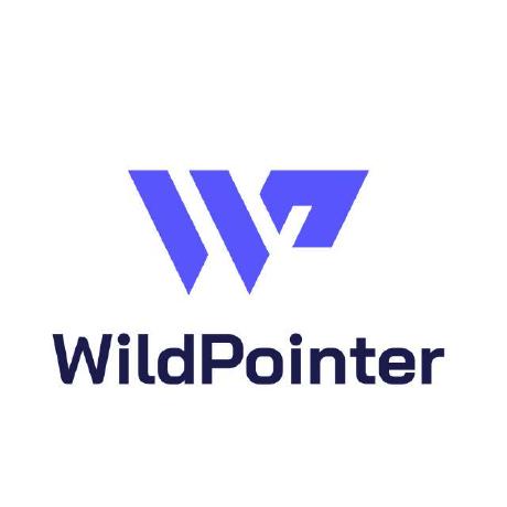 Wild Pointer Github
