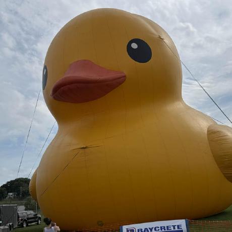 Notnierpea Pea Github