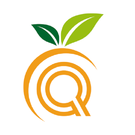 Quantum Valencia Github