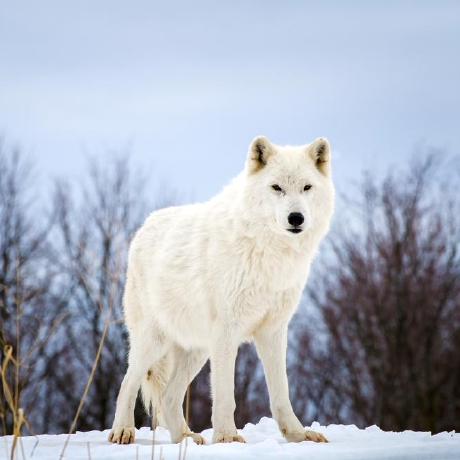 Joshuahaddock Joshua Haddock Github