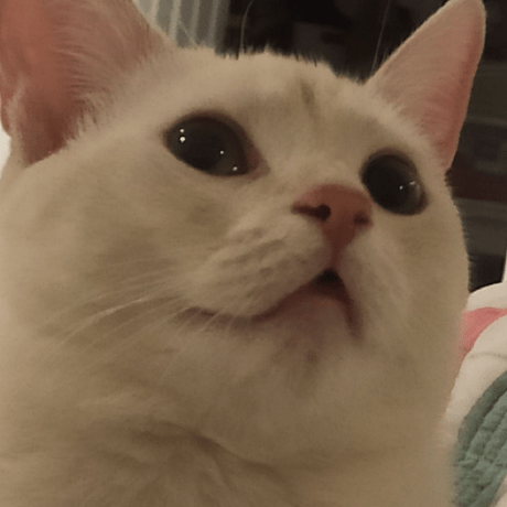 Optimallukasdev Github