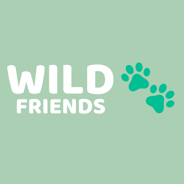 Wild Friends Github