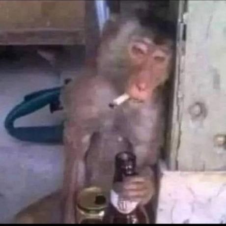 Maksimego Maksim Github